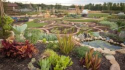 Embrace Sustainability With Permaculture Design Ideas – Wakeup Wake County